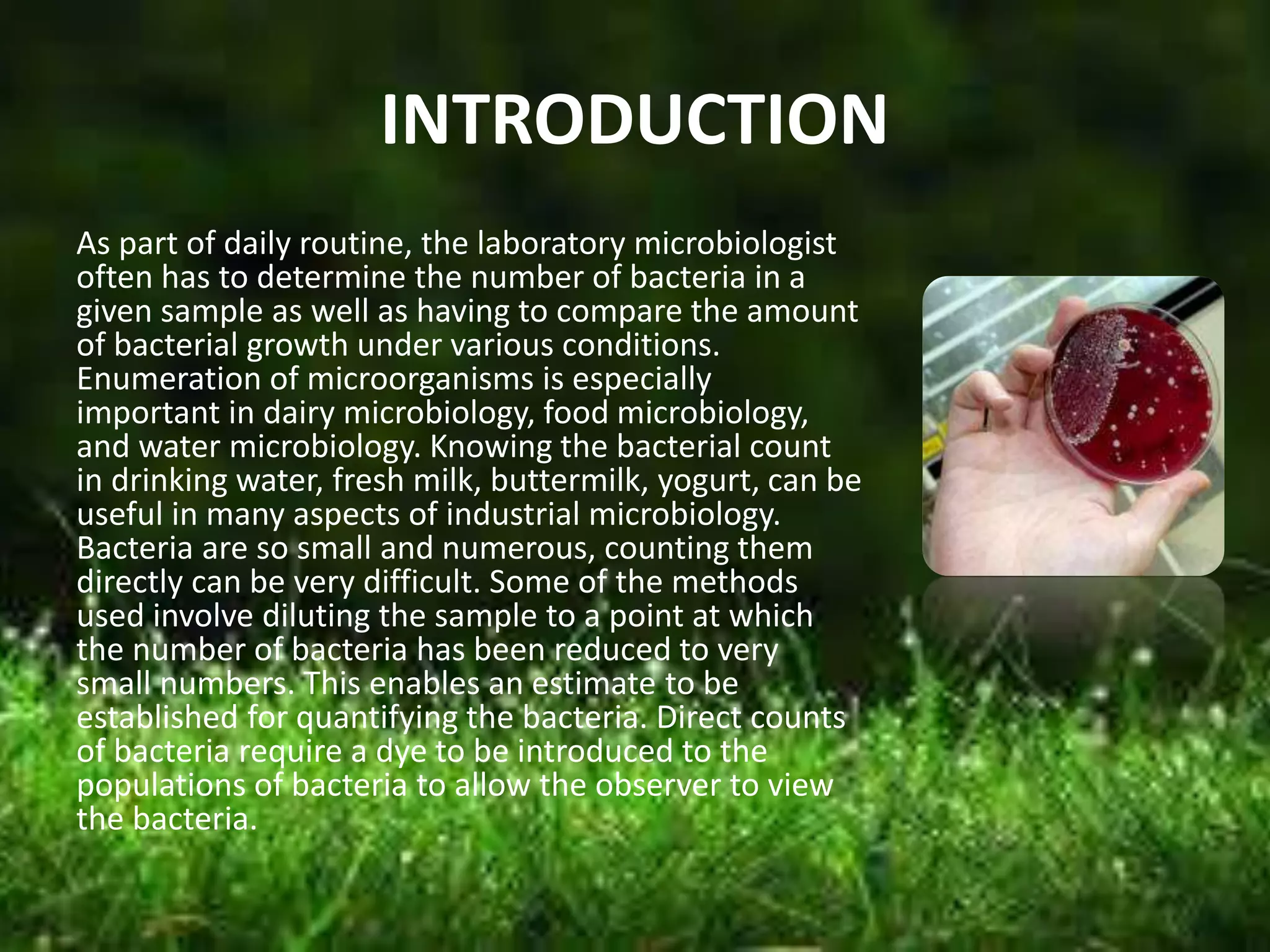 Bacteria enumeration | PPTX