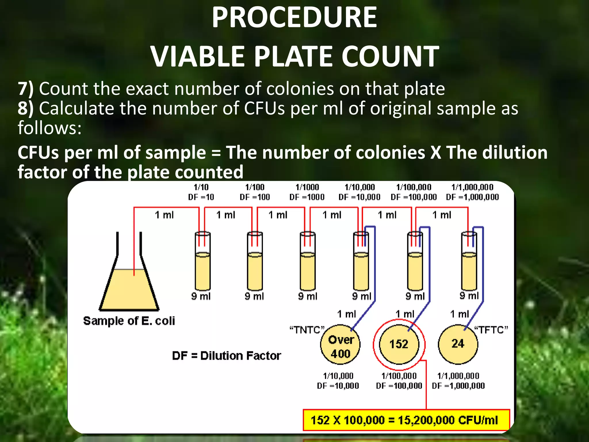 Bacteria enumeration | PPTX