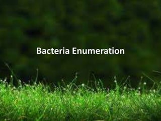 Bacteria enumeration | PPTX