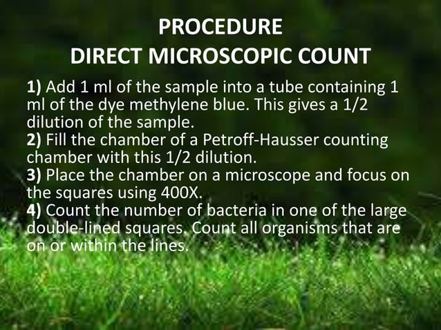 Bacteria enumeration | PPTX | Chemistry | Science