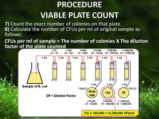 Bacteria enumeration | PPTX