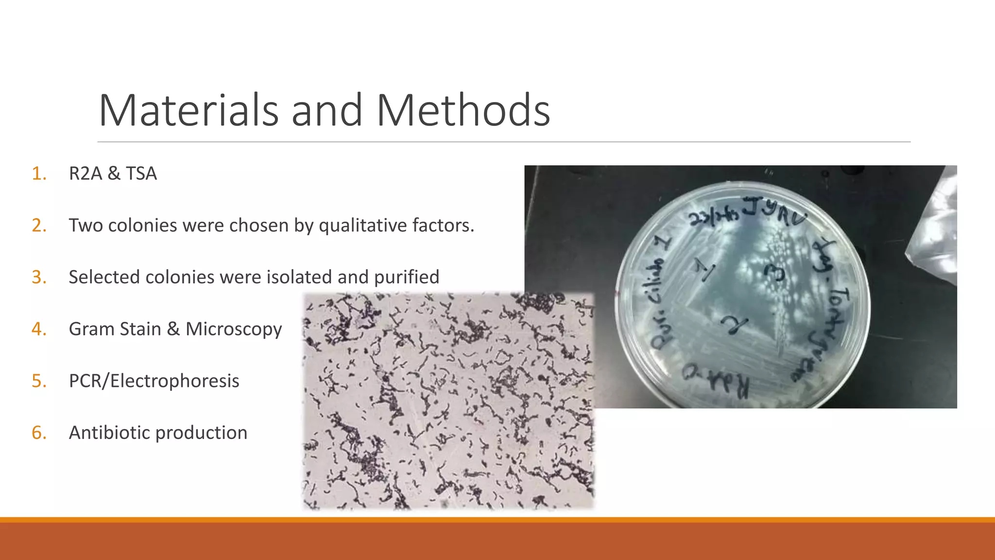 Isolation and Cultivation of Bacteria from Tropical Soils | PPT