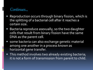 Bacteria General Characteristics.pptx