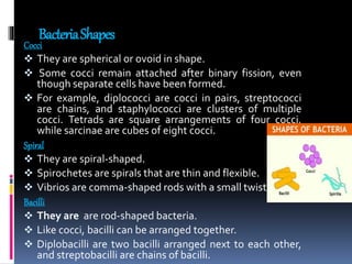 Bacteria General Characteristics.pptx