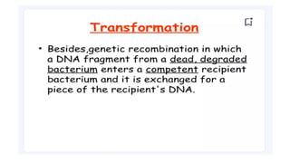 BACTERIA GENETICS taxonomy epidemiology morphology | PPT