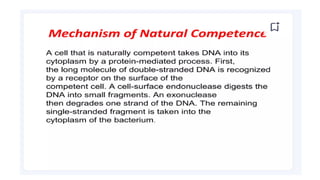 BACTERIA GENETICS taxonomy epidemiology morphology | PPT