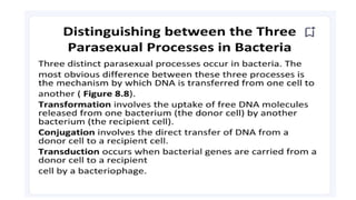 BACTERIA GENETICS taxonomy epidemiology morphology | PPT