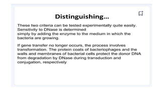 BACTERIA GENETICS taxonomy epidemiology morphology | PPT