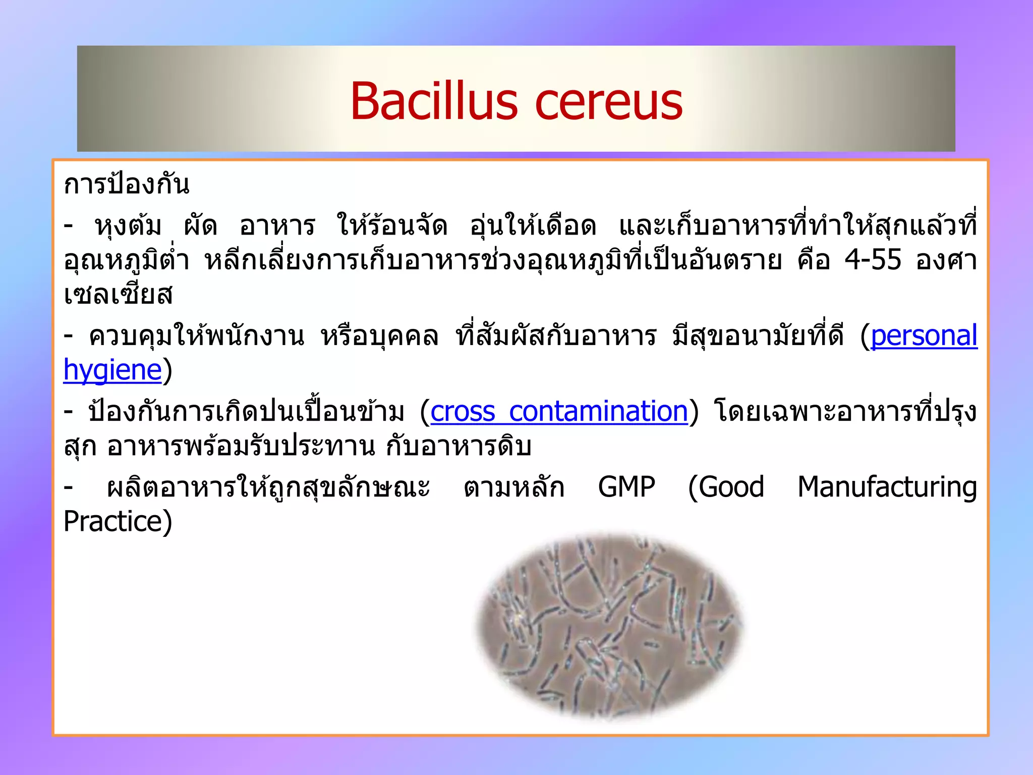 Bacteria gram positive bacilli | PPTX