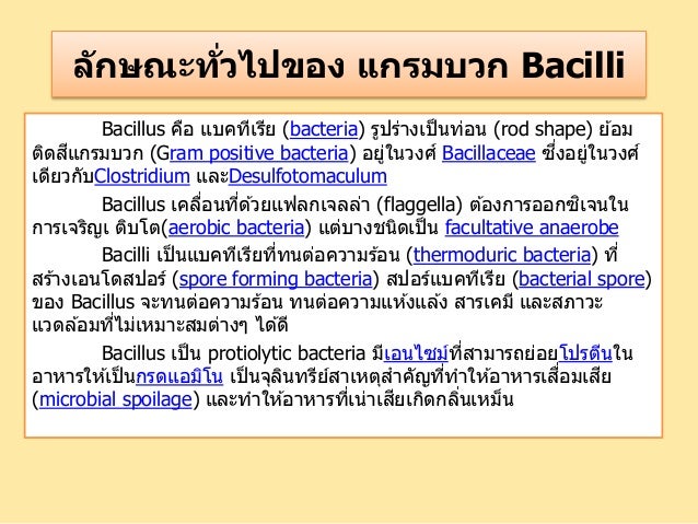 Gram Positive Bacilli List