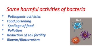 Bacteria harmful properties | PDF | Infectious Diseases | Diseases and ...
