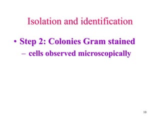 bacteria identification of infectious agents | PPT