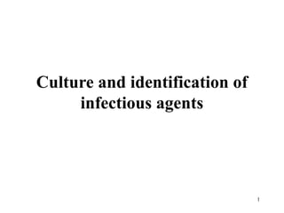 Microscopic Identification of bacterial species | PPT