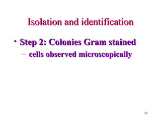 Microscopic Identification of bacterial species | PPT