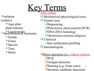 Microscopic Identification of bacterial species | PPT