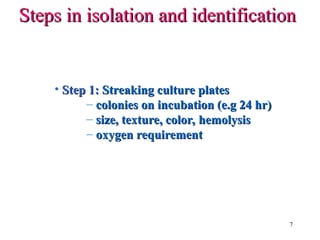 Microscopic Identification of bacterial species | PPT