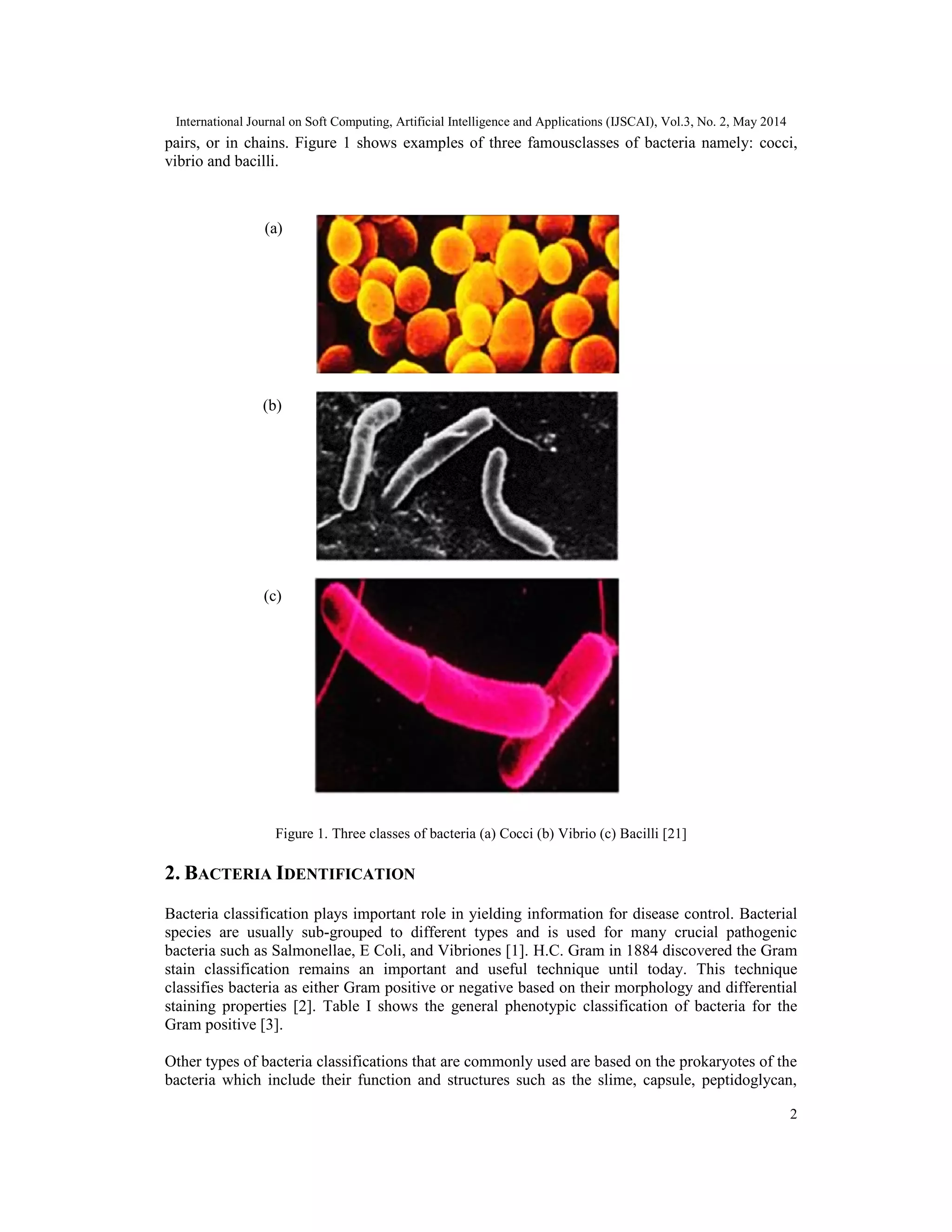 Bacteria identification from microscopic | PDF