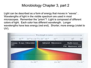 bacteria identificationppt.ppt