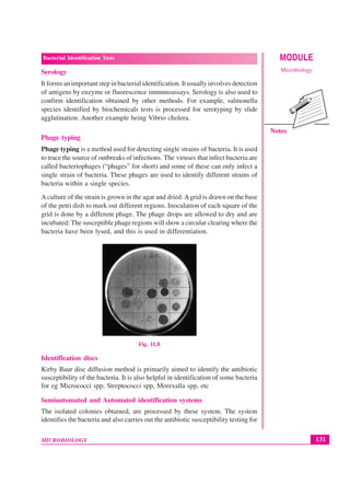 Bacteria Identification Tests.pdf