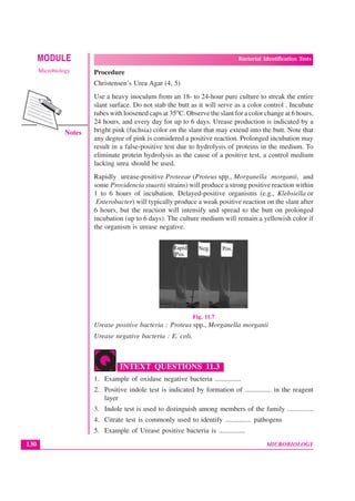 Bacteria Identification Tests.pdf