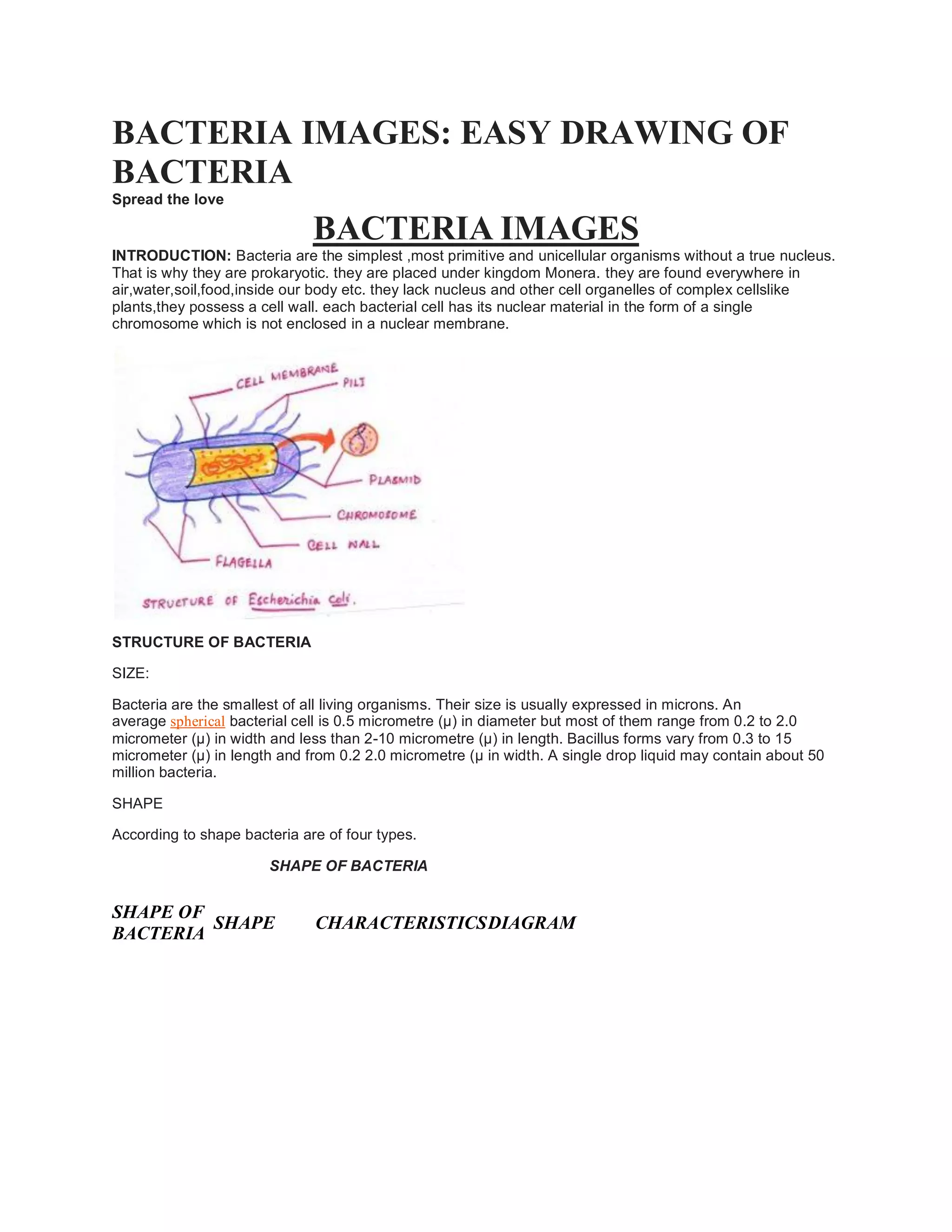BACTERIA IMAGES.pdf