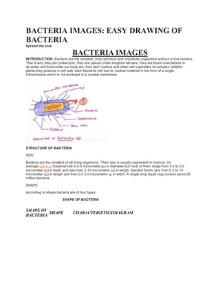 BACTERIA IMAGES.pdf