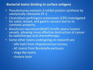 Bacteria in cancer therapy | PPTX