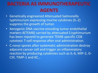 Bacteria in cancer therapy | PPT