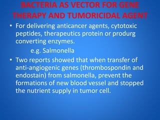 Bacteria in cancer therapy | PPTX