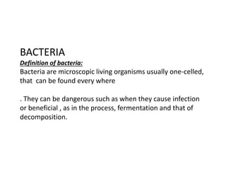 Bacteria in food science | PPTX
