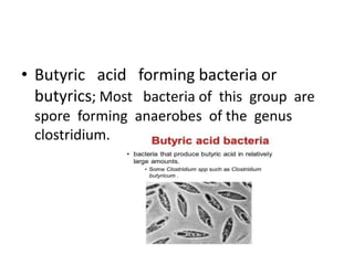 Bacteria in food science | PPTX