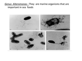 Bacteria in food science | PPTX