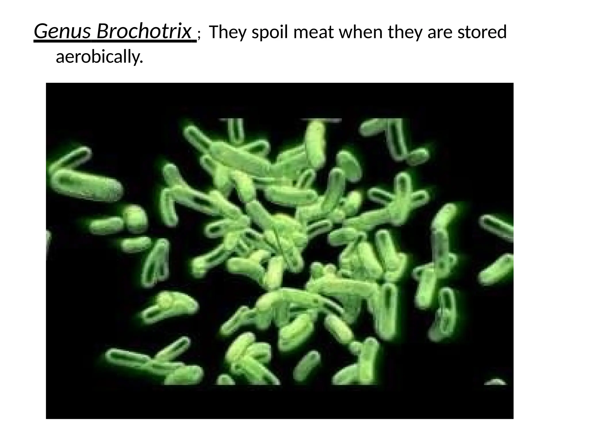 Bacteria in food science - Role of bacteria in food science | PPTX