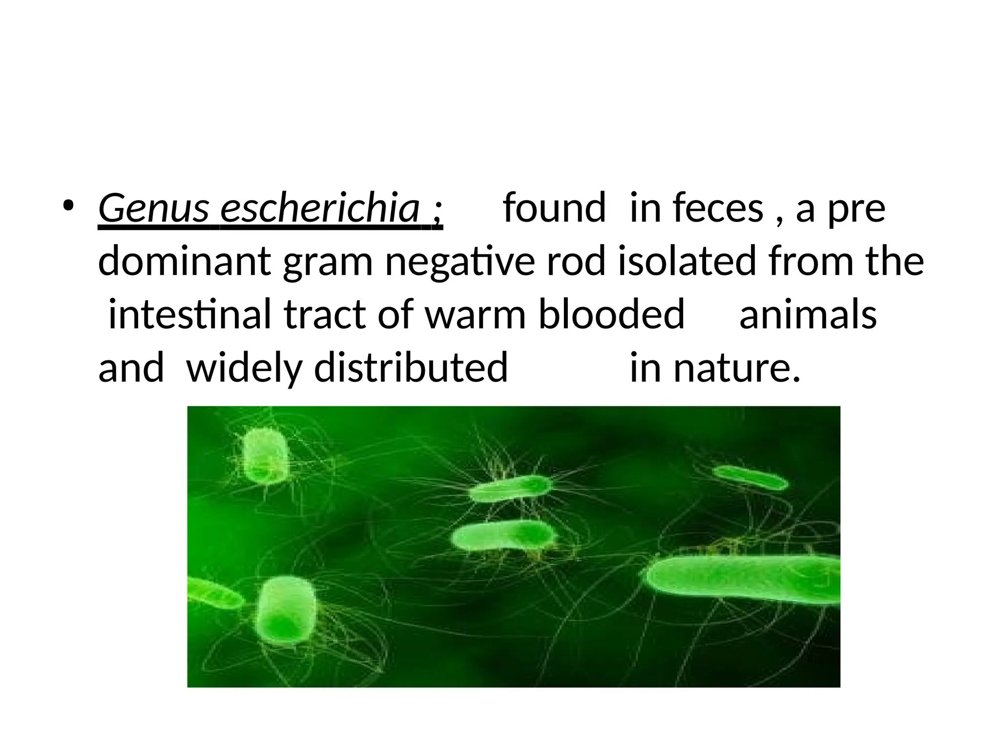 Bacteria in food science - Role of bacteria in food science | PPTX
