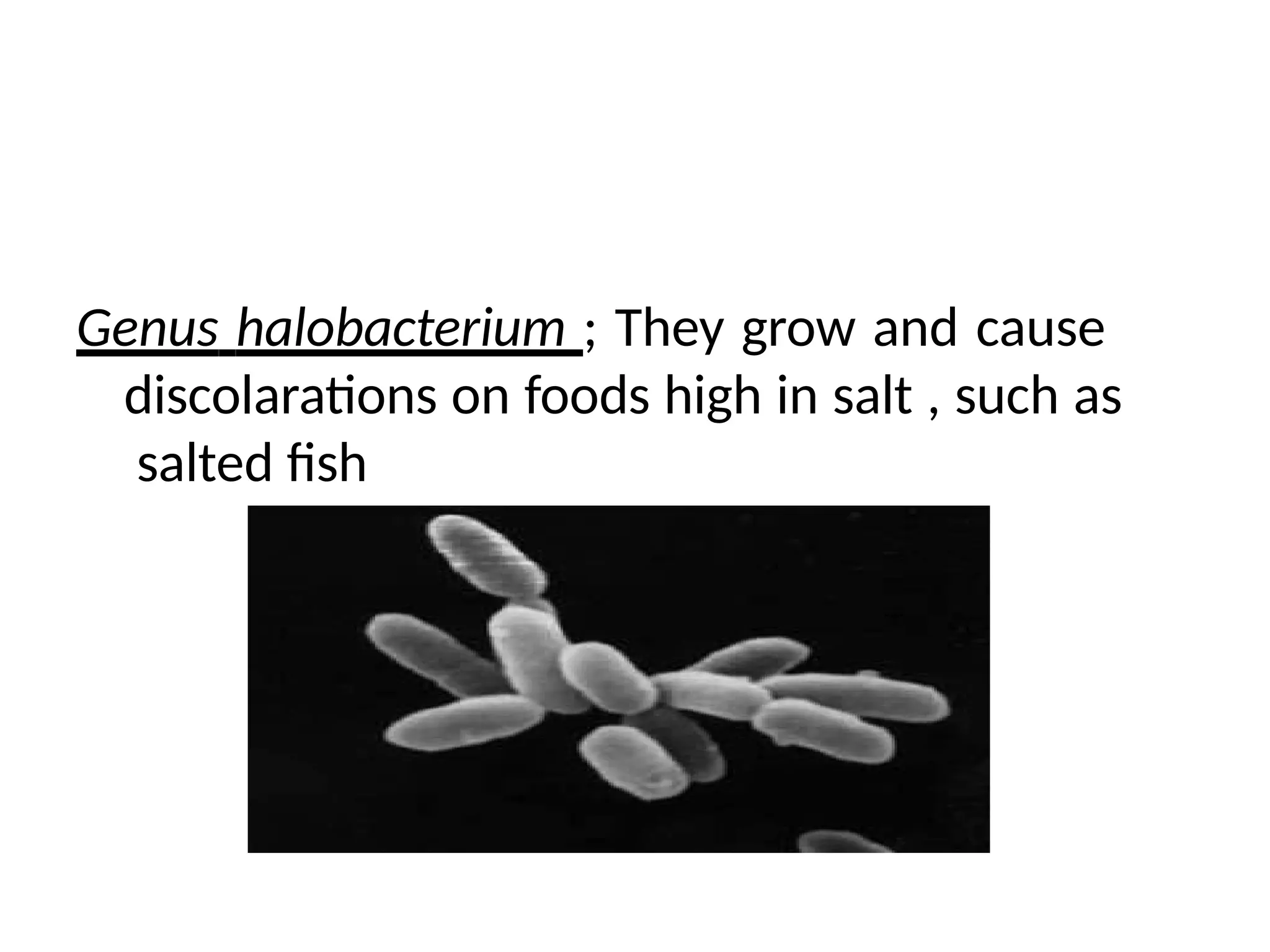 Bacteria in food science - Role of bacteria in food science | PPT