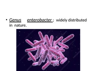 Bacteria in food science - Role of bacteria in food science | PPTX