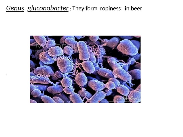 Bacteria in food science - Role of bacteria in food science | PPT