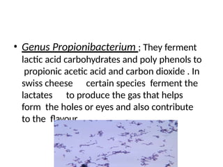 Bacteria in food science - Role of bacteria in food science | PPTX
