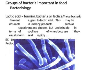 Bacteria in food science - Role of bacteria in food science | PPTX