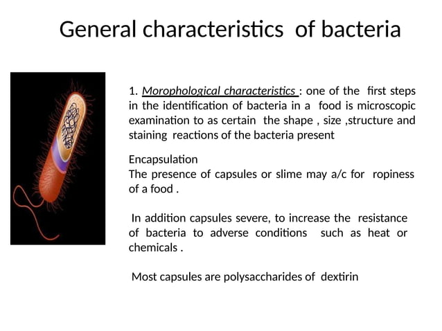 Bacteria in food science - Role of bacteria in food science | PPTX