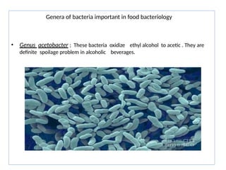 Bacteria in food science - Role of bacteria in food science | PPTX