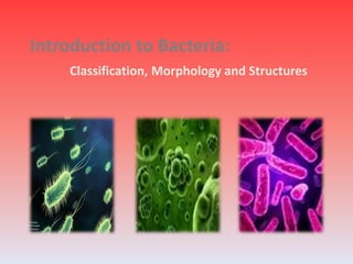 bacteria intro including the types of bactera | PPT