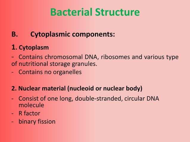 bacteria intro including the types of bactera | PPT