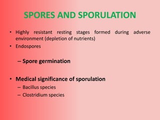 bacteria intro including the types of bactera | PPT