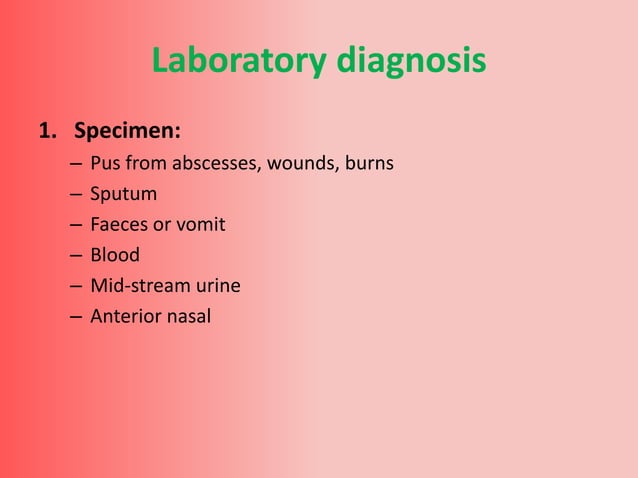 bacteria intro including the types of bactera | PPT