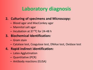 bacteria intro including the types of bactera | PPT