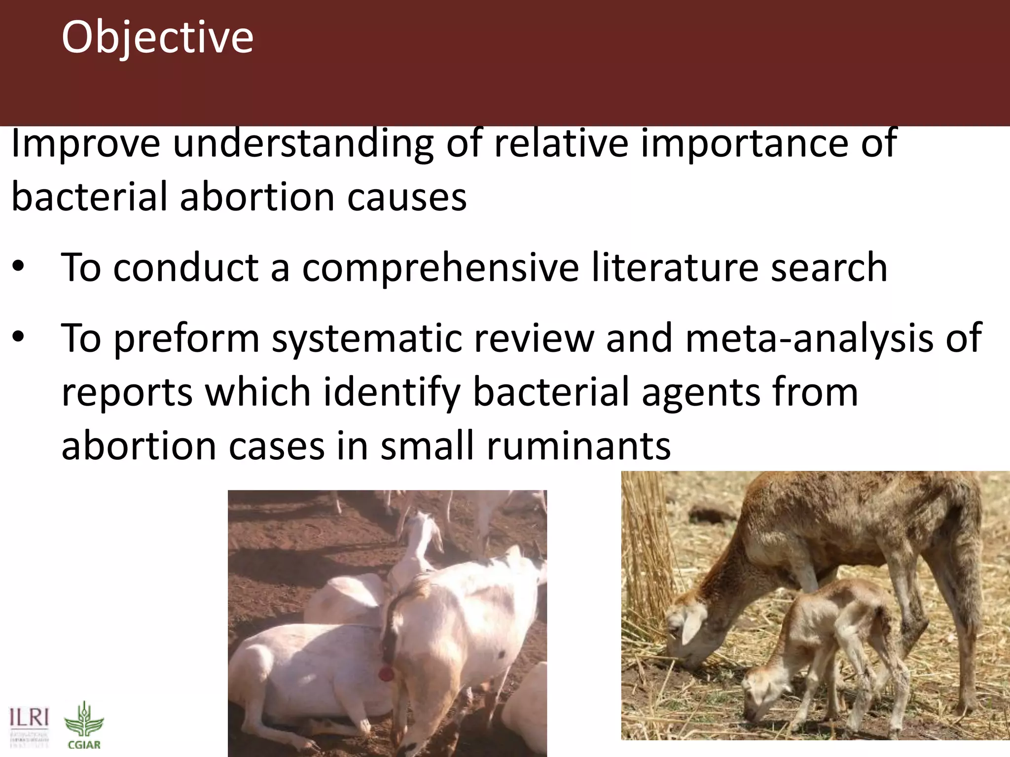 Bacterial causes of small ruminant abortion: A systematic review and meta-analysis | PPT