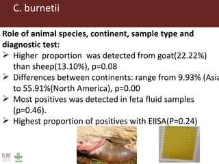Bacterial causes of small ruminant abortion: A systematic review and ...