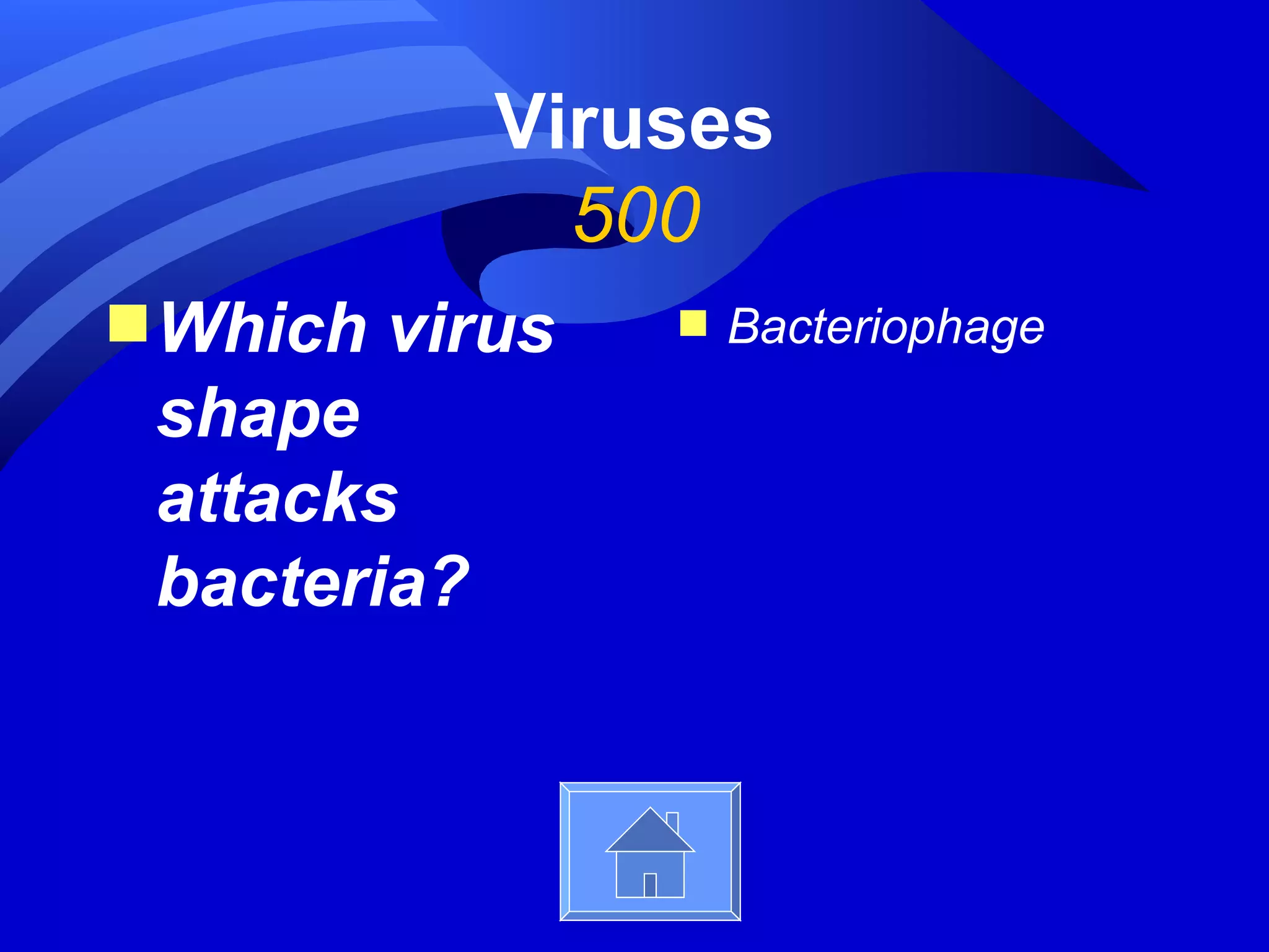Bacteria jeopardy | PPT