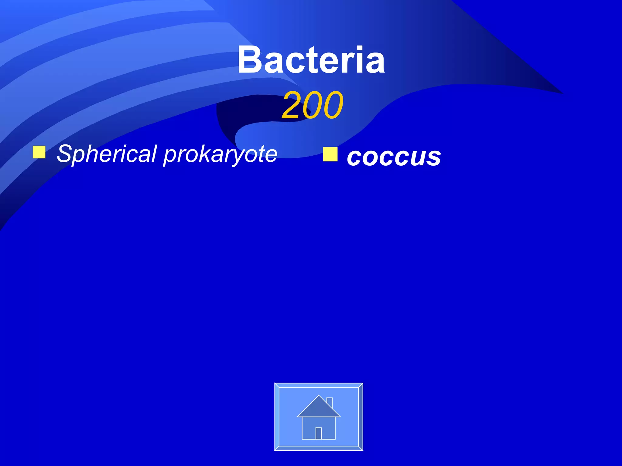 Bacteria jeopardy | PPT